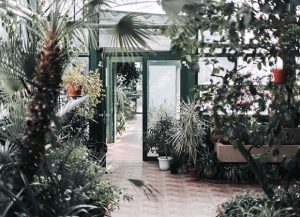 The ROSE Way Planning- Pedagogy that’s OUT OF THE BOX! - The ROSE Way