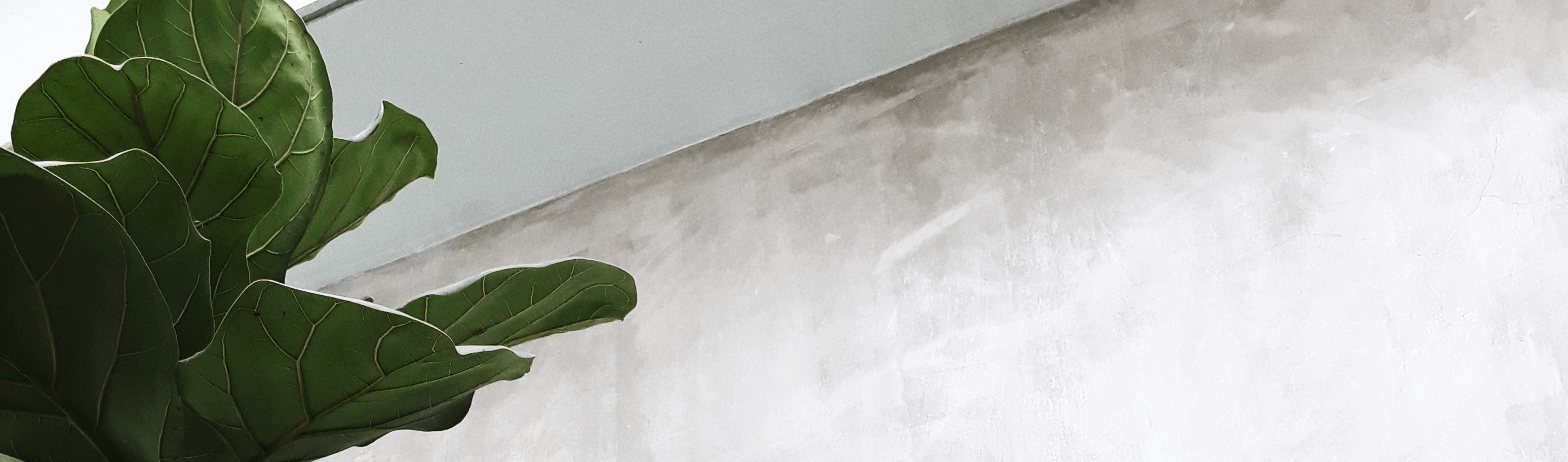 The ROSE Way Planning- Pedagogy that’s OUT OF THE BOX! - The ROSE Way